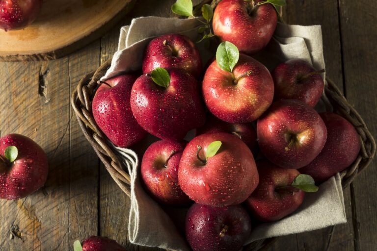 Informations sur la pomme Red Delicious : conseils pour cultiver des ...